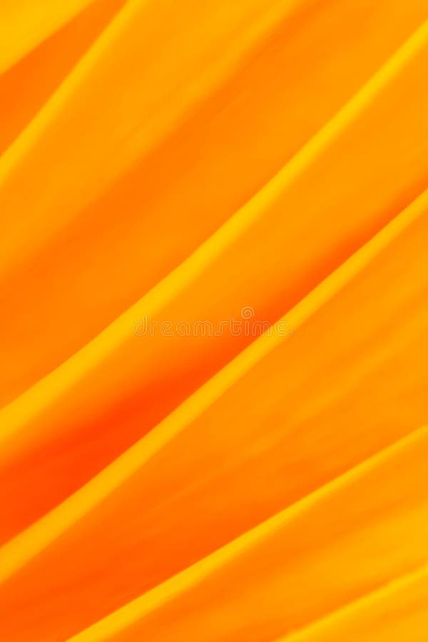Pleated Yellow Cotton Material. Texture or Background Stock Photo ...