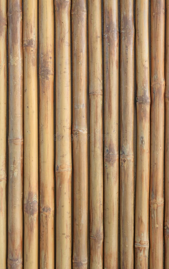 Vertical Bamboo Fence Wall Background Stock Image - Image of japanese ...