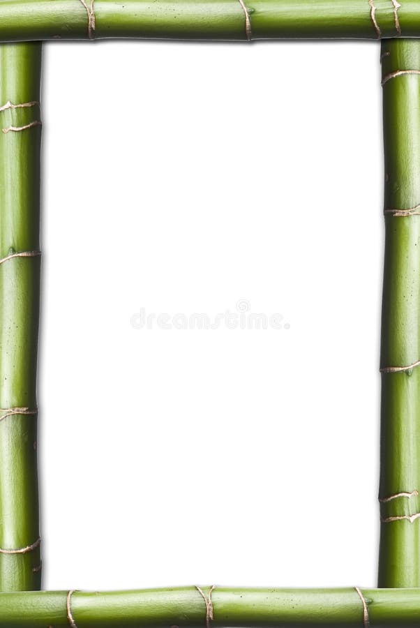 Bamboo with leaves stock photo. Image of wood, white - 25428266