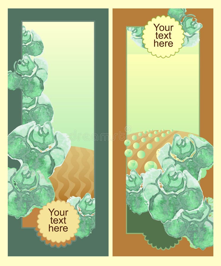 Vertical Banner. Cabbage and Cabbage Fields. Farm before and after ...