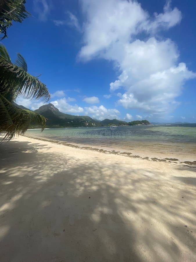 Vertical of a Beach in the Seychelles with Silky Smooth Sand and ...
