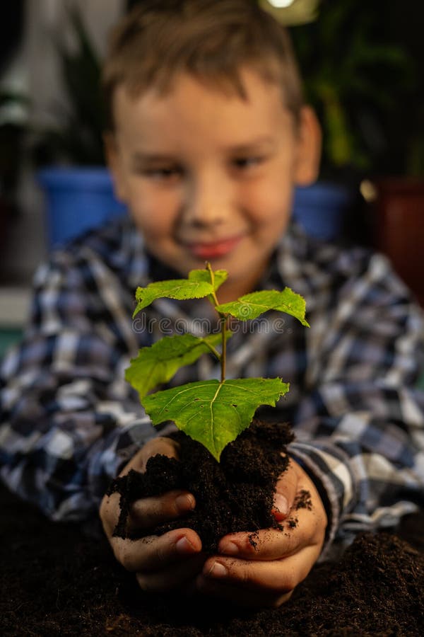 Vertical. the Beaming Child Holds a Tree Sapling that Radiates Joy and ...