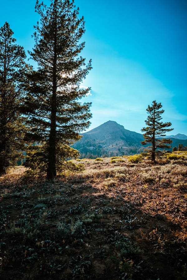 Vertical of a Beautiful Landscape Displaying a Mountain Skyline Behind ...