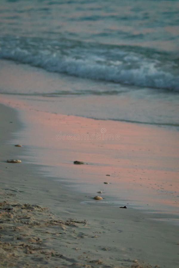 Vertical of a Beautiful Sandy Beach with Flowing Waves at Sunset. Stock ...