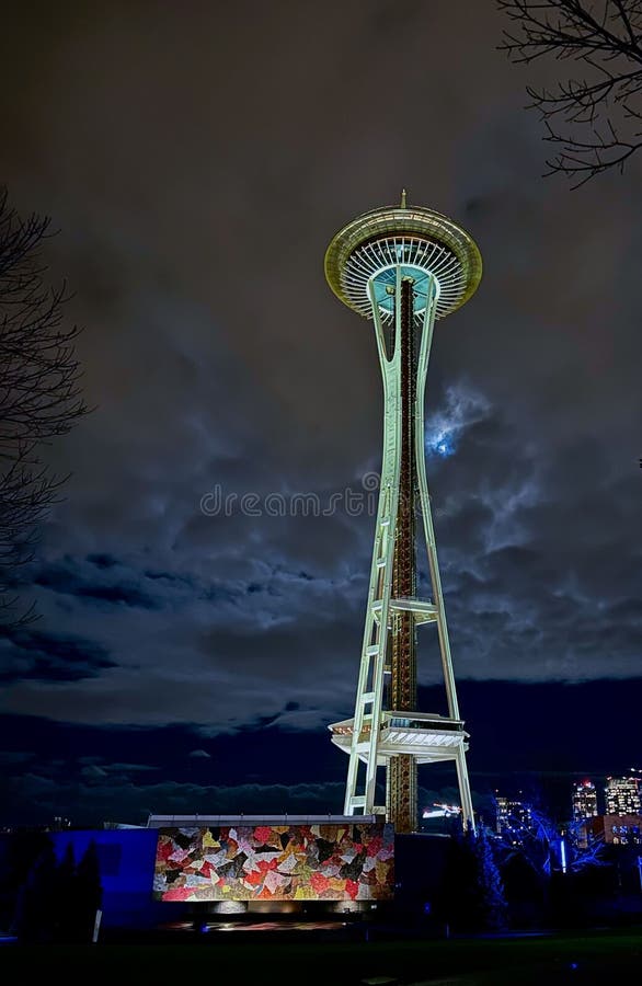 Vertical of the Beautiful Space Needle Tower at Night Under the Cloudy ...