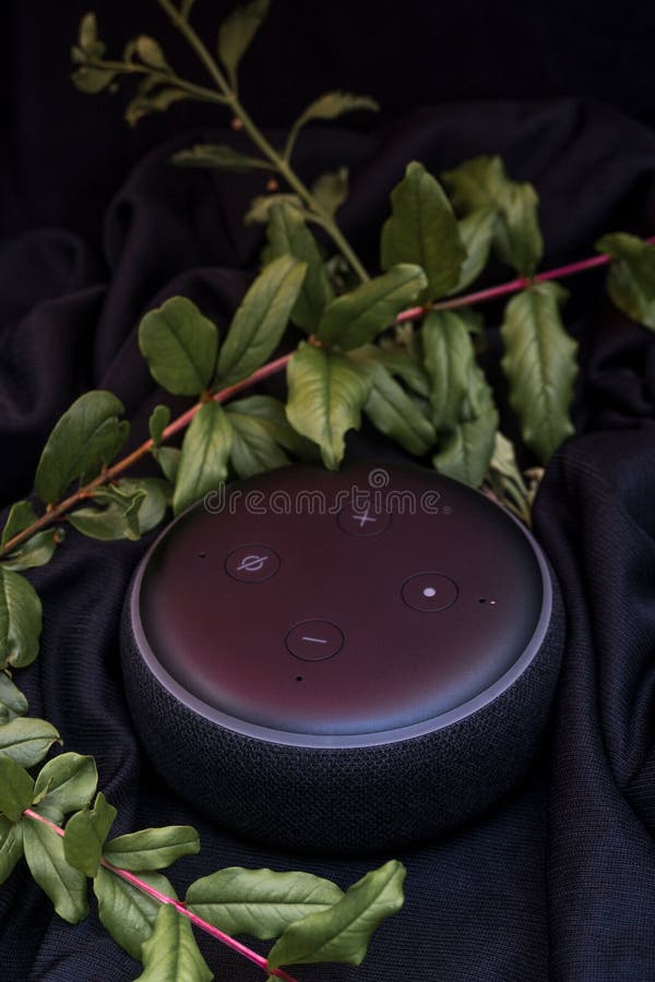 Vertical of the Black Amazon Echo Dot Isolated on a Black Background ...