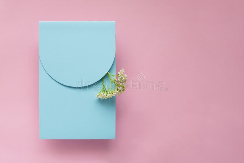 Vertical Blue Envelope White Flowers on a Pink Background Stock Photo ...