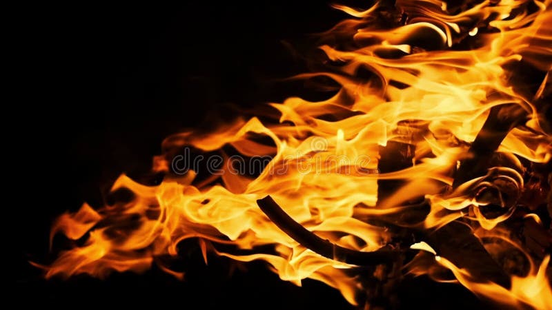 Vertical Bonfire Flames on Black Background Stock Video - Video of ...