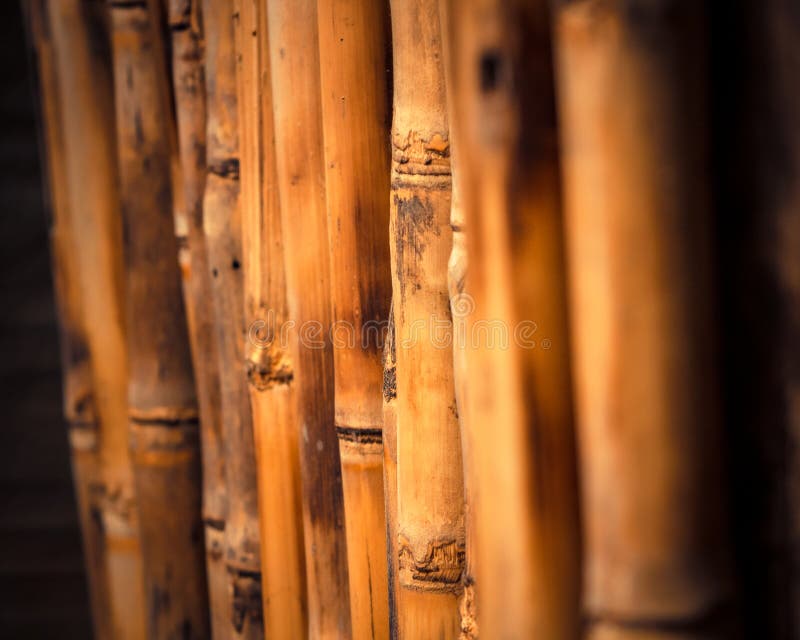 Vertical Brown Bamboo Fence Side by Side Stock Image - Image of organic ...