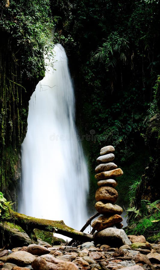Vertical of Cascade Flowing Down the Rocks in a Forest Behind a Stone ...