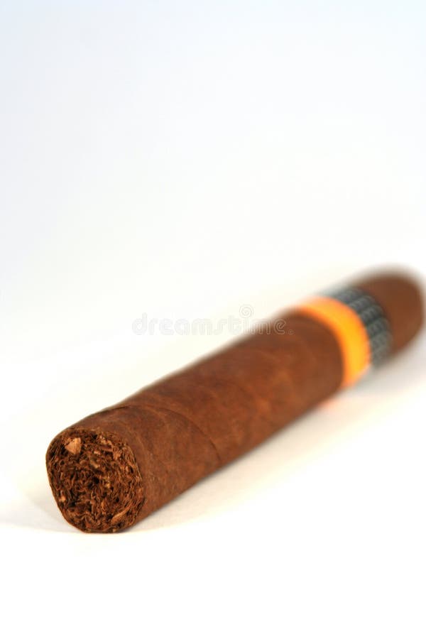 Two Cigars stock photo. Image of addiction, classy, fume - 549462