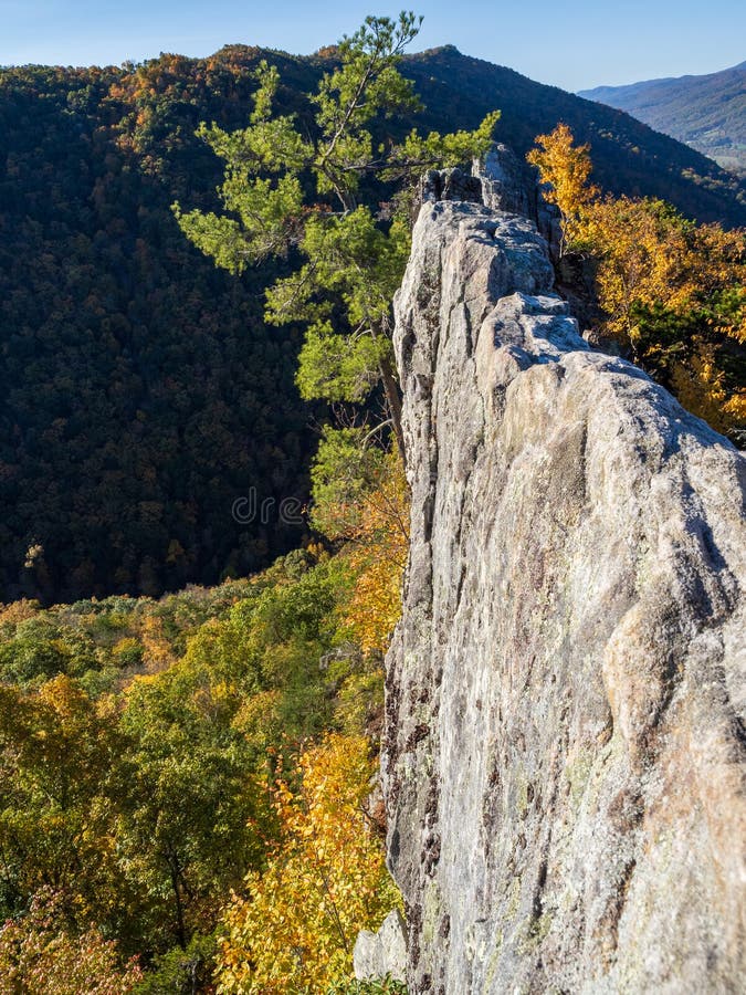 The Vertical Cliff with Sharp Edge Drops into the Fall Colored Forest ...