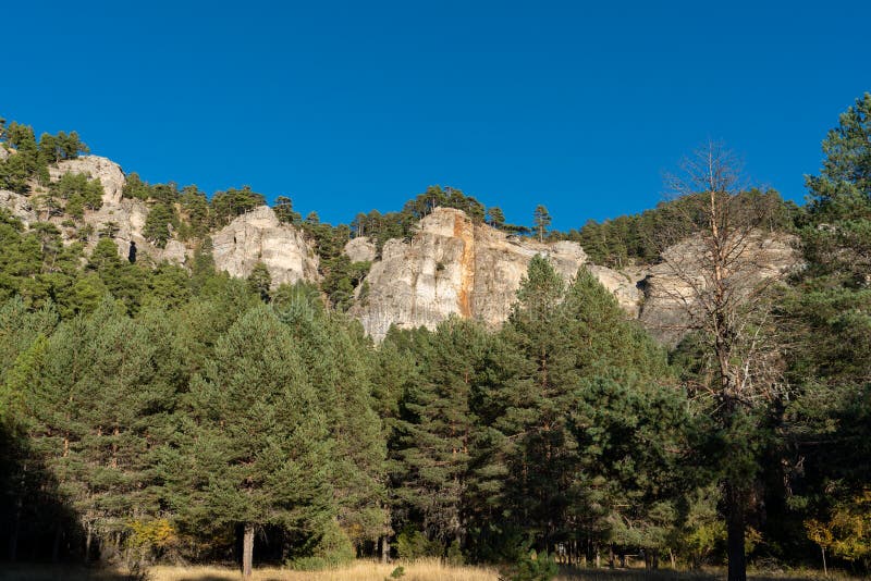 Vertical Cliffs Over the Pine Tree Forest Stock Photo - Image of ...
