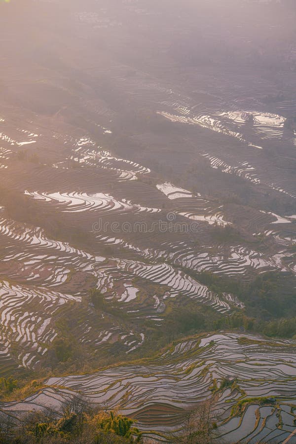Vertical Close Up on Bada Rice Terraces in Yunnan, China Stock Photo ...