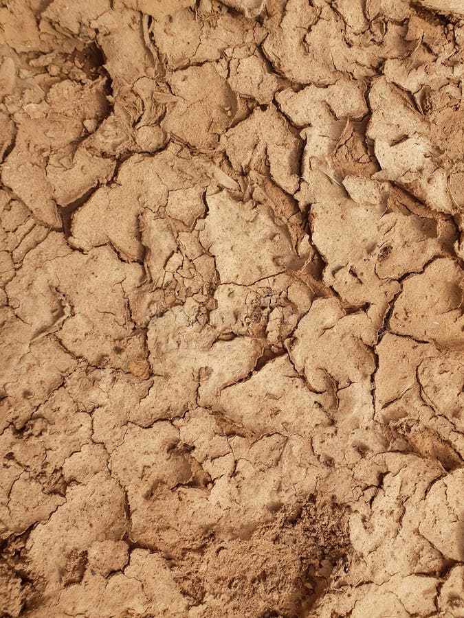 Dried Mud Surface with Cracks and Openings and Layers of Dust Stock ...
