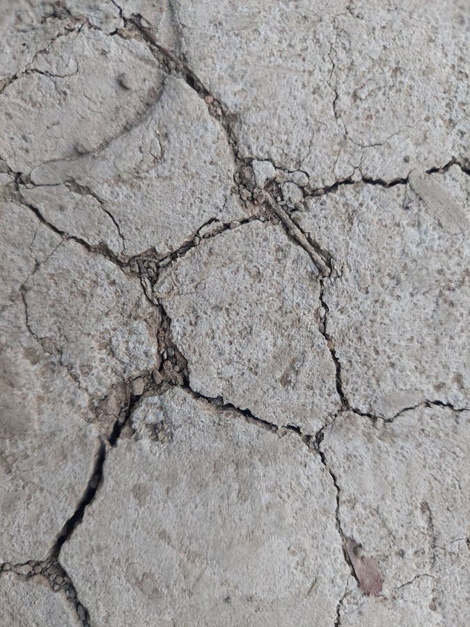Vertical Close-up Grayscale of the Dry Soil Cracks - Beautiful Choice ...