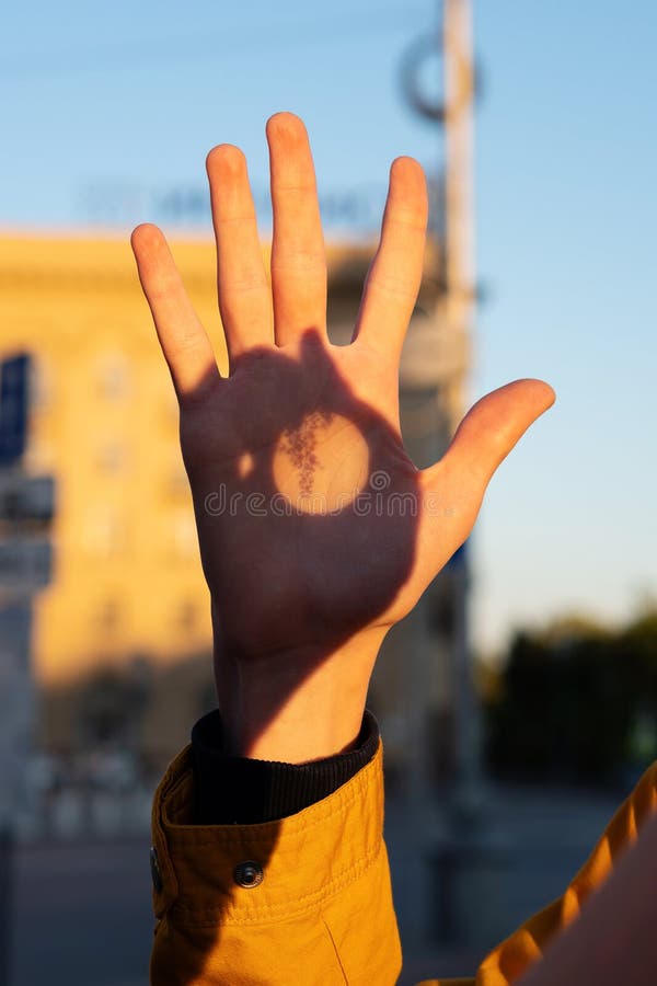 Vertical Close-up of Hand with Plant Shadow Pattern Outdoors Stock ...