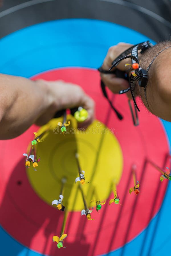 Vertical Close Up of Male Hands Pulling Out Arrows from an Archery ...