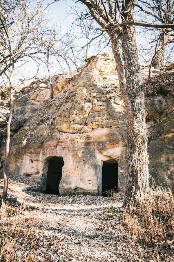 Vertical Closeup of an Abandoned Destroyed Hut Deciduous Trees Sunlit ...