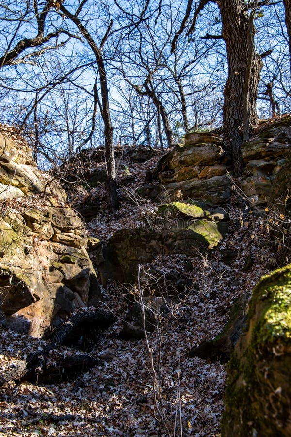 Vertical Closeup of an Abandoned Destroyed Hut Deciduous Trees Sunlit ...