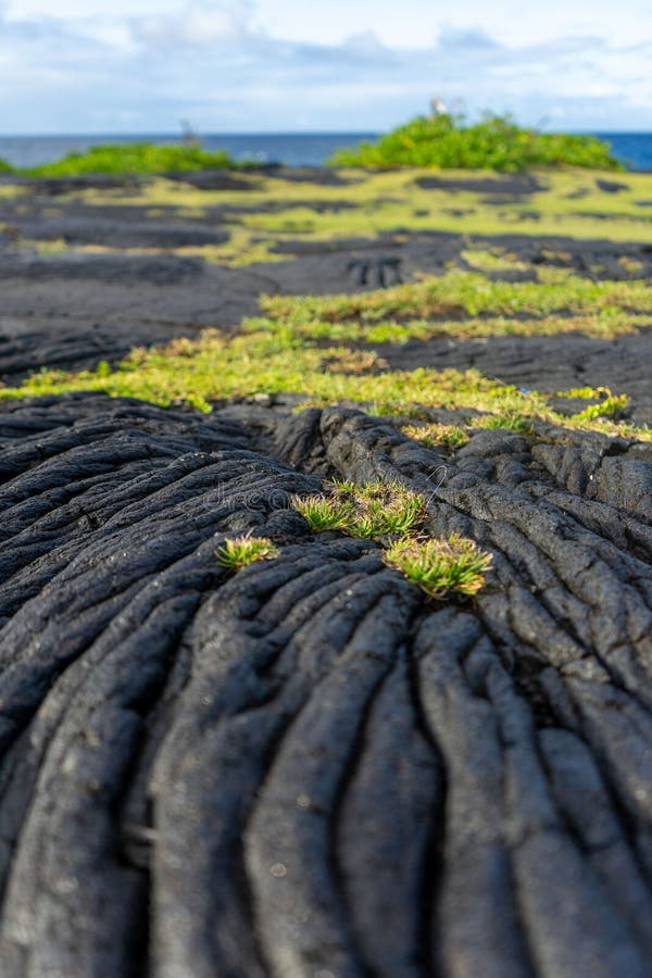 Vertical Closeup of Coal Texture after the Volcano Eruption Covered ...