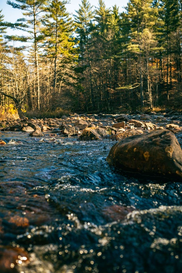 Vertical Closeup of a Flowing Lake with Stones and Trees Around, Sky ...