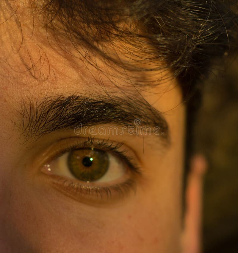 Vertical Closeup of a Hazel Eye. Stock Image - Image of visible ...