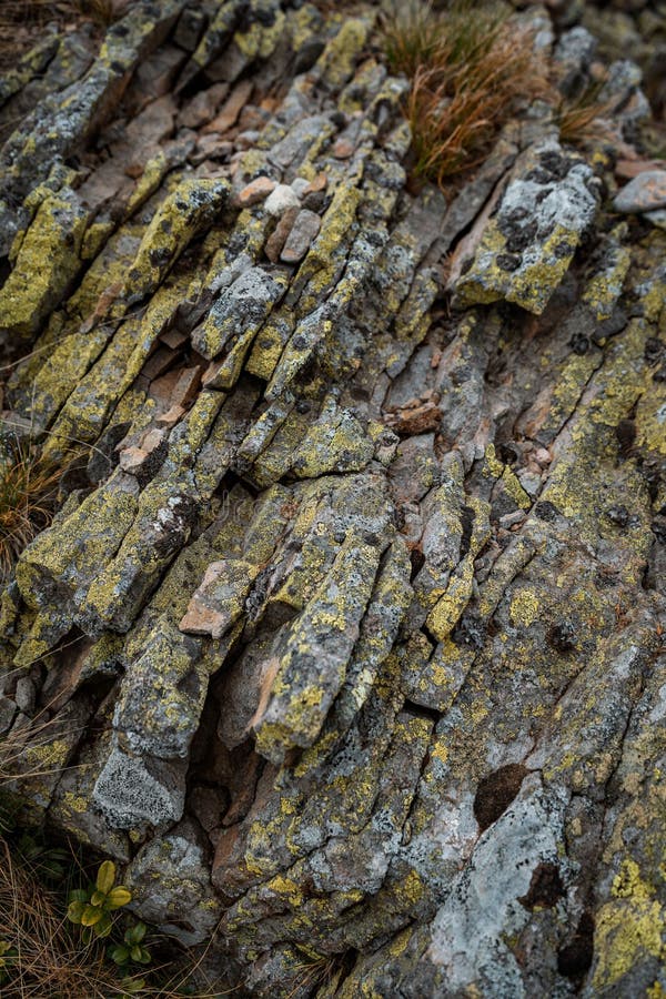 Vertical Closeup of an Interesting Rock Formation with Cracks Stock ...