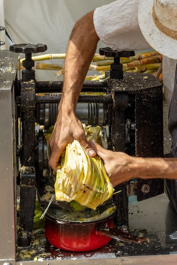 140 Sugarcane Extraction Stock Photos - Free & Royalty-Free Stock ...