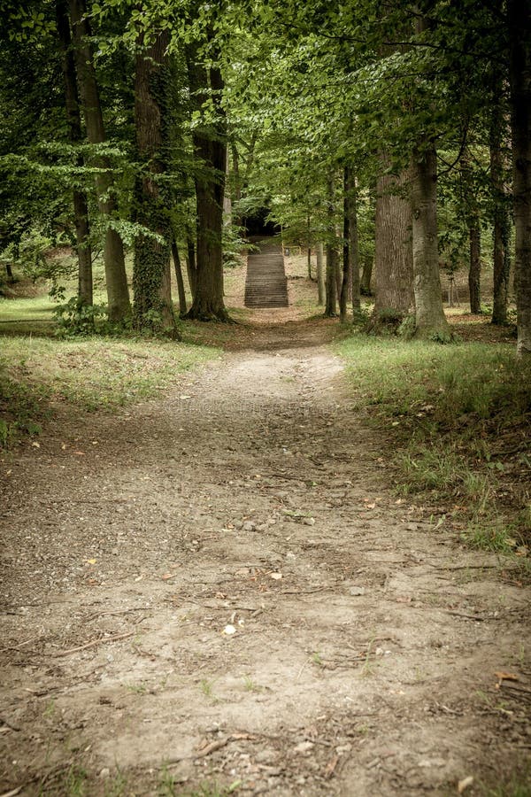 Vertical Closeup of a Path in the Park Stock Photo - Image of soil ...