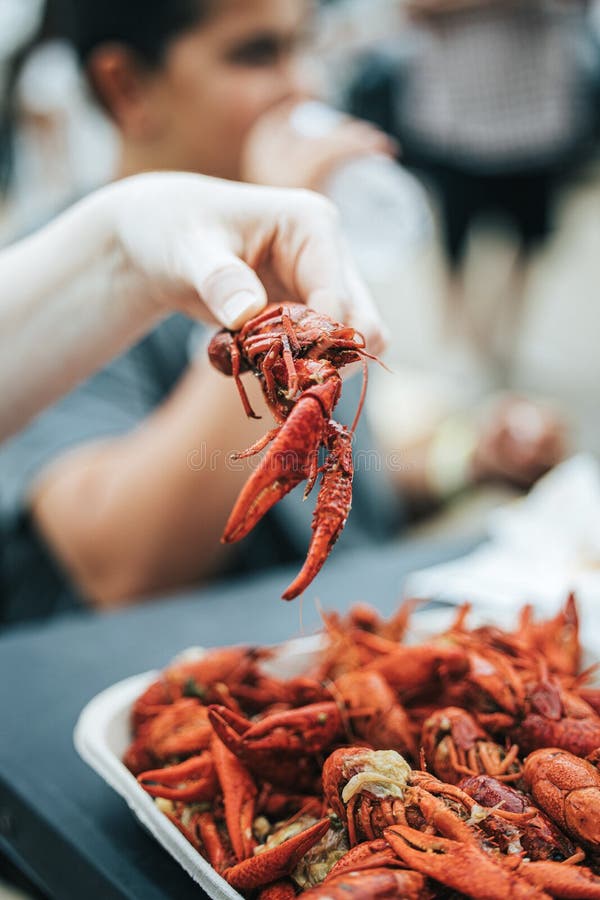 Vertical Closeup of a Person Holding a Fresh Crawfish Stock Photo ...
