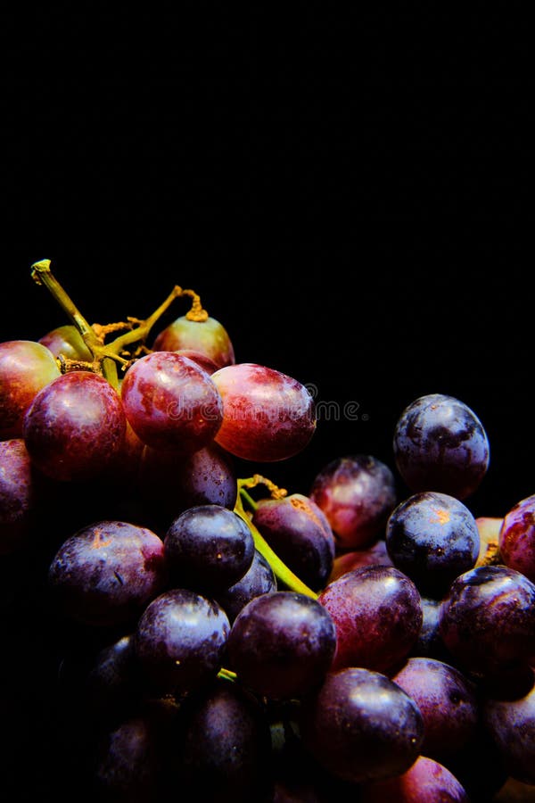 Vertical Closeup Of Red Grapes Under The Lights Isolated On A Black ...