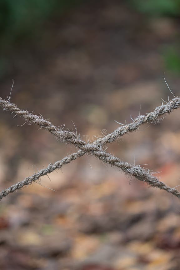 Vertical Closeup of Ropes in a Crossed Shape Stock Photo - Image of ...