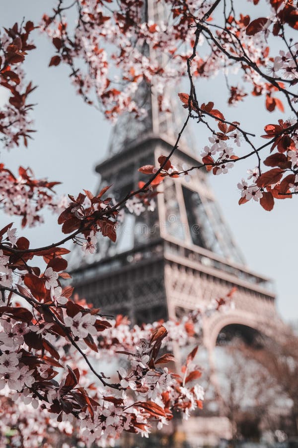 Pretty Eiffel Tower Tumblr