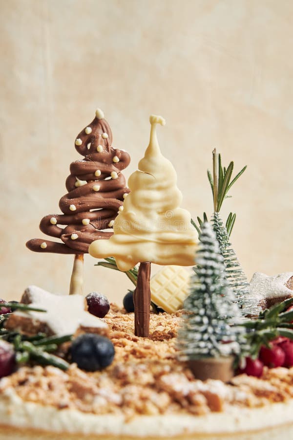 Vertical Closeup Shot of Beautiful Christmas Cake Toppings Stock Image ...
