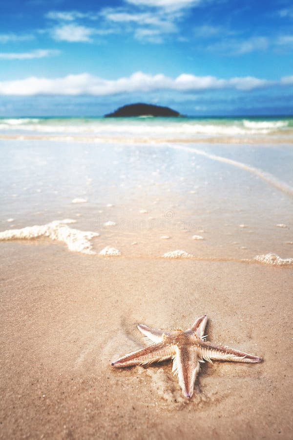 Seashore under blue sky stock image. Image of blue, landscape - 33852163
