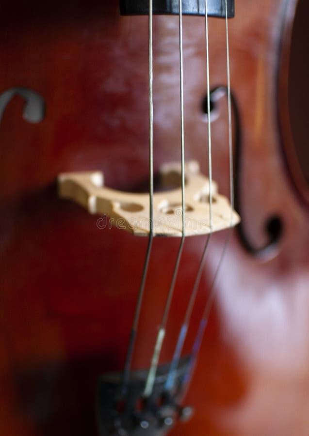 Vertical Closeup Shot of the Bridge and F-hole of the Cello Stock Image ...
