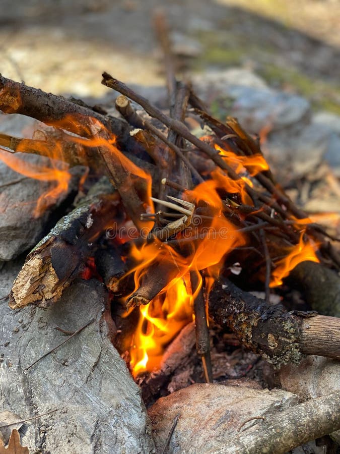 Vertical Closeup Shot of a Campfire Lit with Tree Branches during the ...