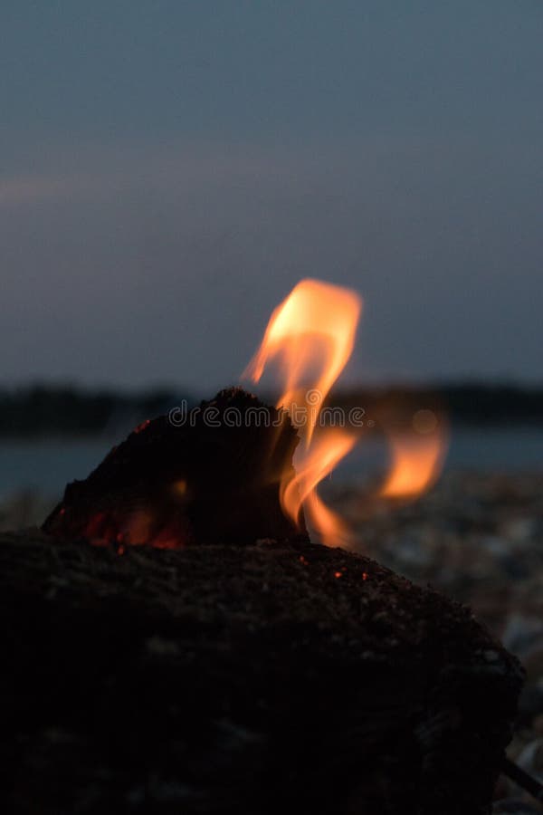 Vertical Closeup Shot of a Campfire at the Beach. Stock Image - Image ...
