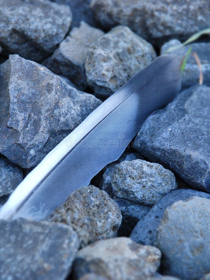 Vertical Closeup Shot of a Feather on Rock Formations Stock Photo ...