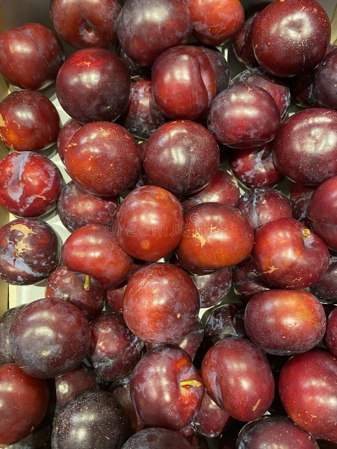 Vertical Closeup Shot of Fresh Ripe Plums in a Box Stock Image - Image ...
