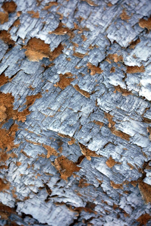 Vertical Closeup Shot of an Old Blue Damaged Wooden Door Texture Stock ...