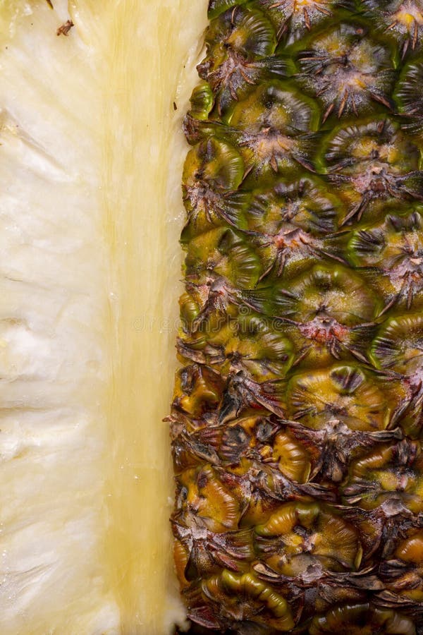 Vertical Closeup Shot of the Outer Shell Texture and the Inside of a ...