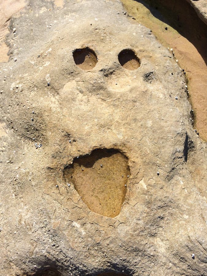Unusual Rock Formations at Bear Rock in Dolly Sods Wilderness in West ...