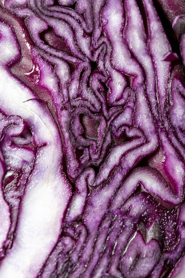 Vertical Closeup of the Sliced Purple Cabbage Stock Photo - Image of ...
