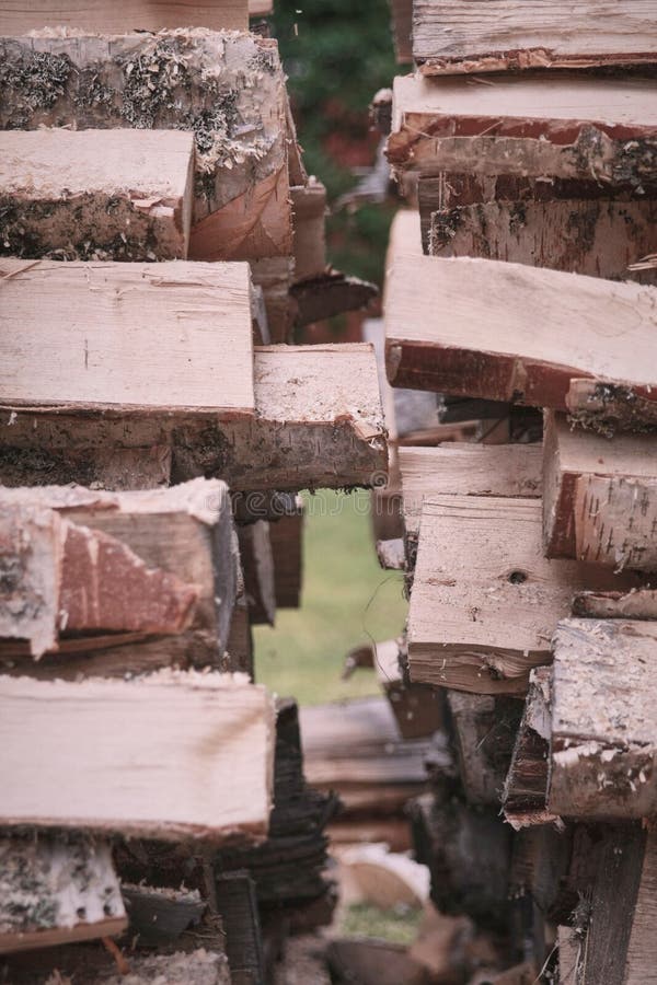 Vertical Closeup of Stack of Wooden Logs on the Side Stock Photo ...