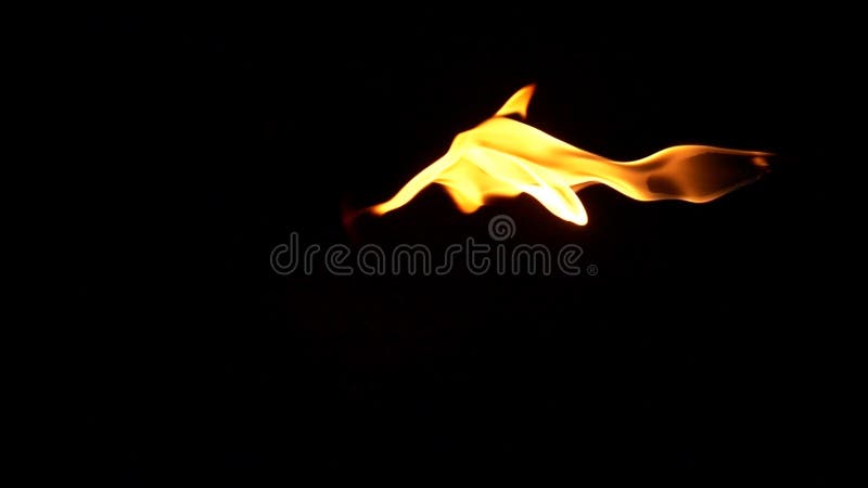 Vertical Closeup Torch Fire Flame Burning Over Black Background in Slow ...