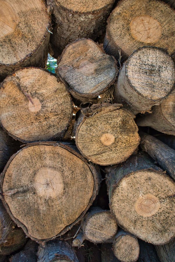 Vertical Closeup of a Wood Log Stack Stock Image - Image of timber ...