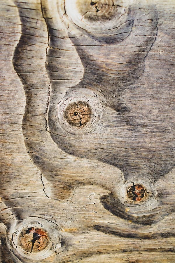 Vertical Closeup of a Wooden Texture with Round Patterns Stock Photo ...