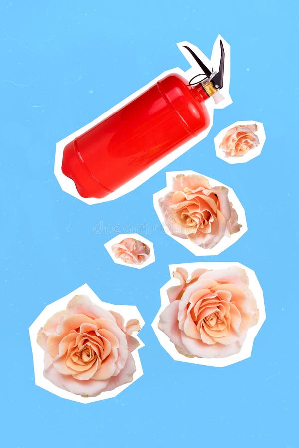 Vertical Collage Image of Fire Extinguisher Fresh Beautiful Rose ...